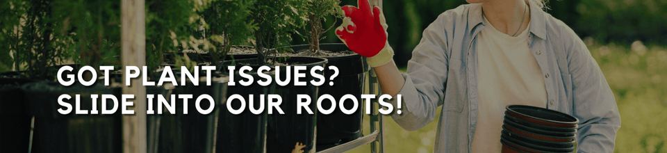 About Us – Everglades Farm