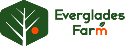 4 Steps to Successfully Grow Your Ilama Tree – Everglades Farm