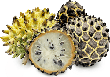 Exotic Fruit Trees | Rare Tropical Species - Everglades Farm