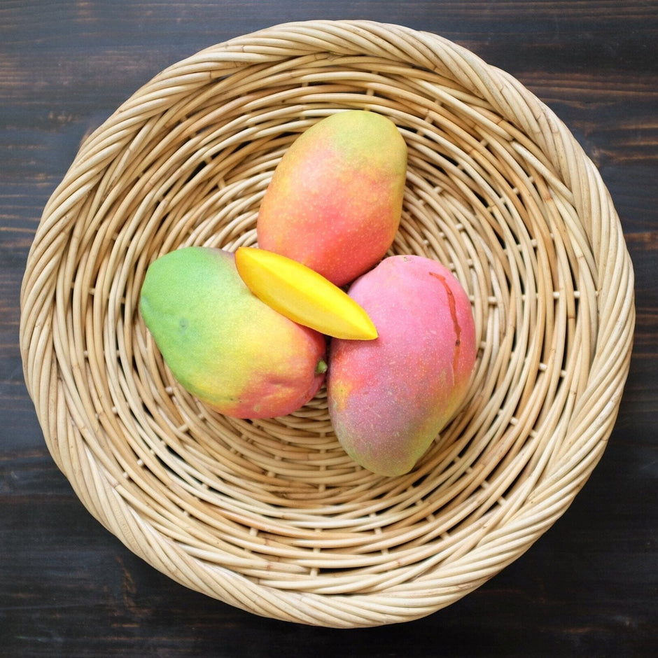Dwarf or Condo Mangos: Compact Mango Trees for Small Spaces ...